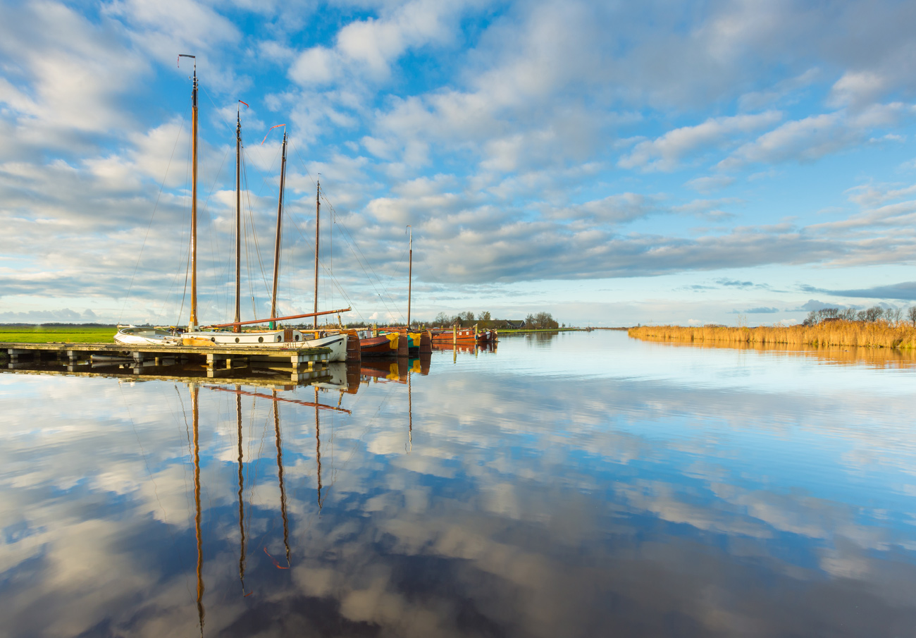 Are you ready to explore the Dutch countryside on a surprise trip?