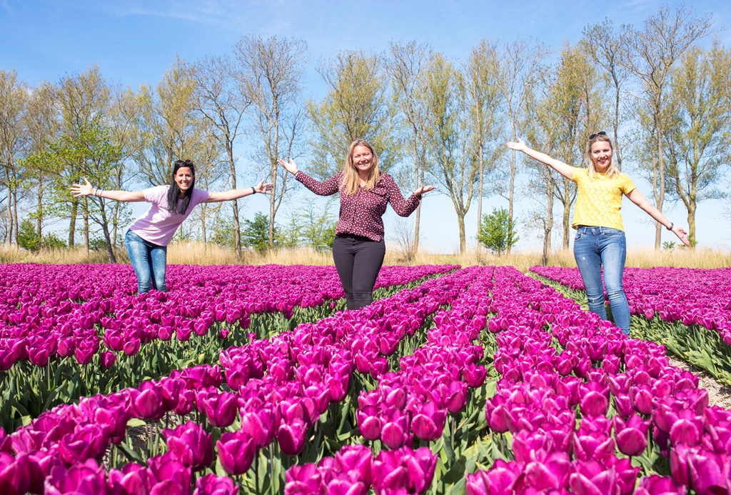 Private tours and custom made day trips from Amsterdam